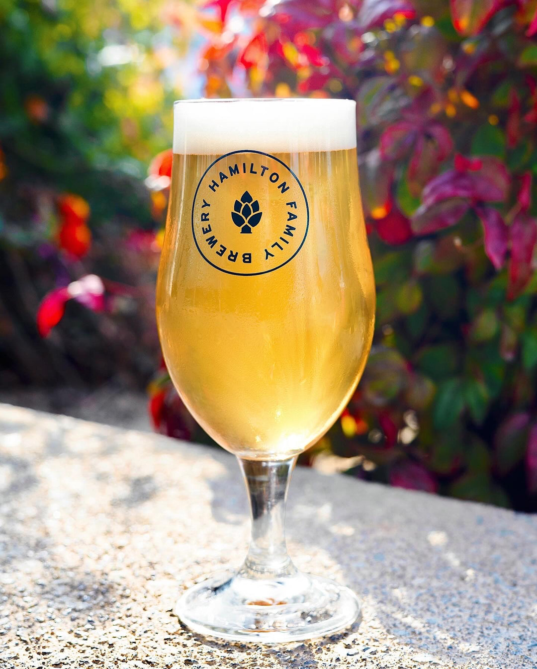 HAMILTON FAMILY BREWERY – Hamilton Family Brewery