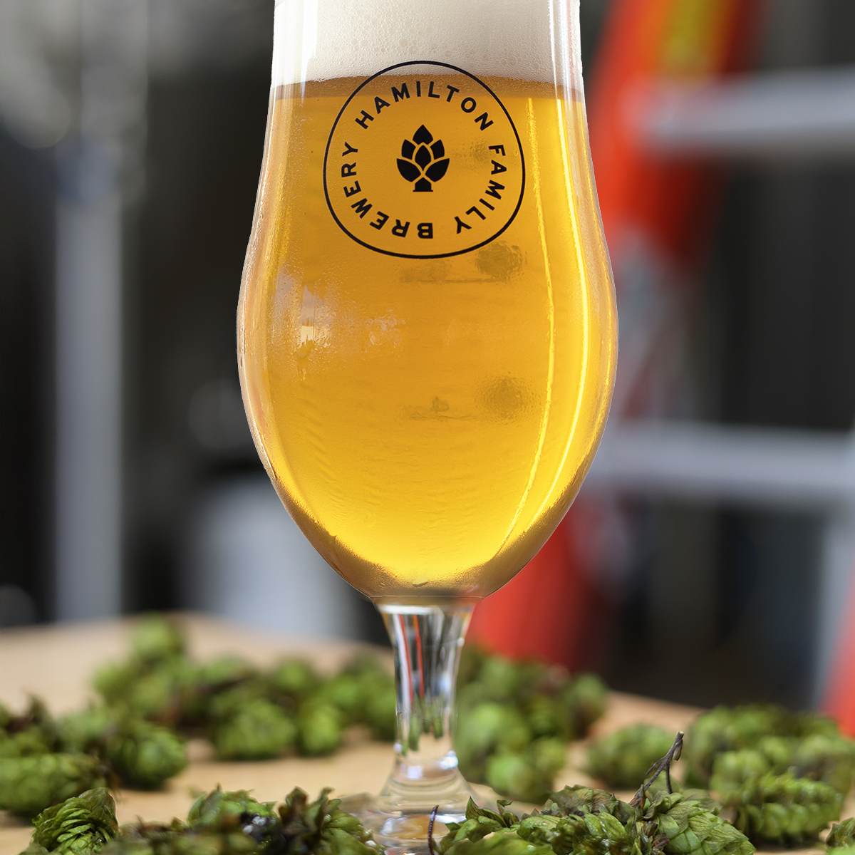 Young Fool – Hamilton Family Brewery