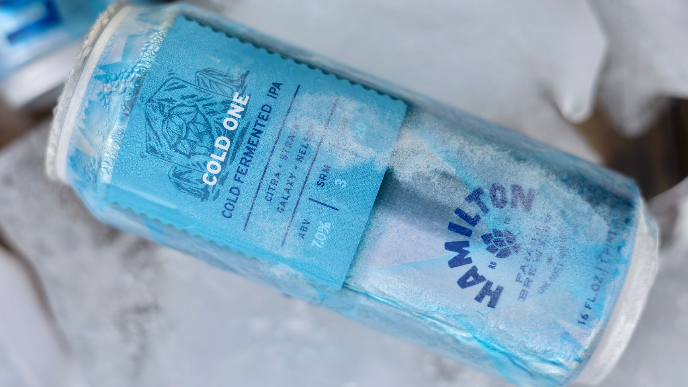 Currently On-Tap – Hamilton Family Brewery