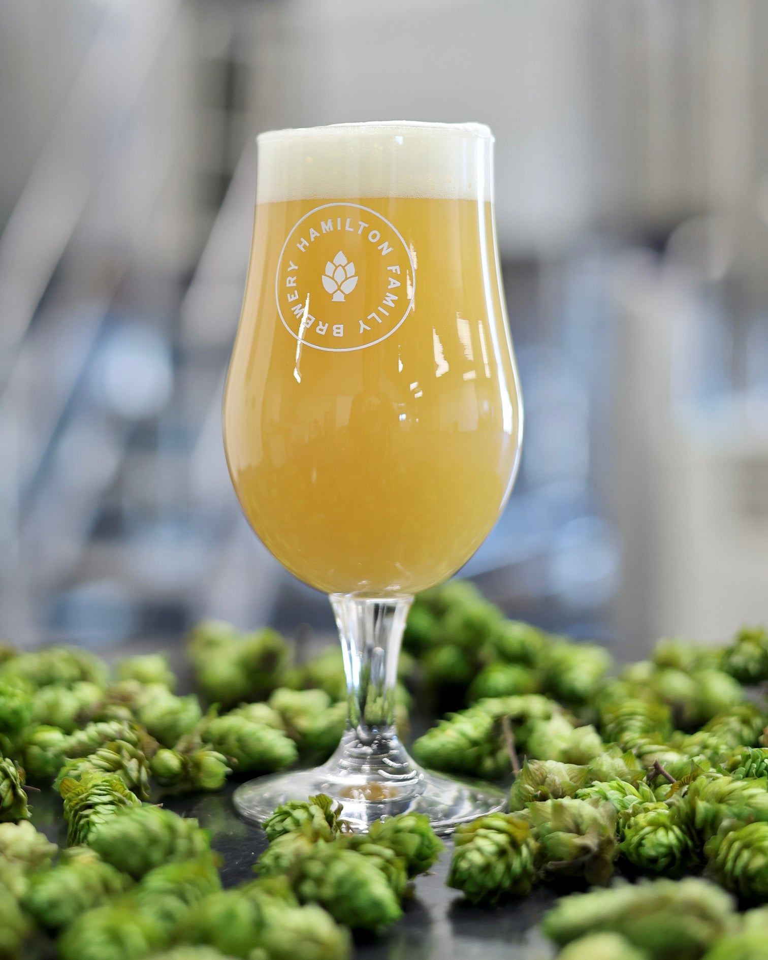HAMILTON FAMILY BREWERY – Hamilton Family Brewery